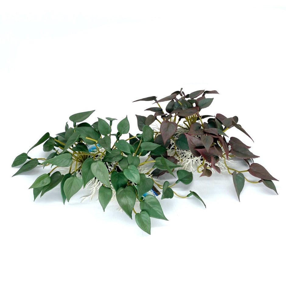 Most Realistic Artificial Aquarium Plants – Aquafaux