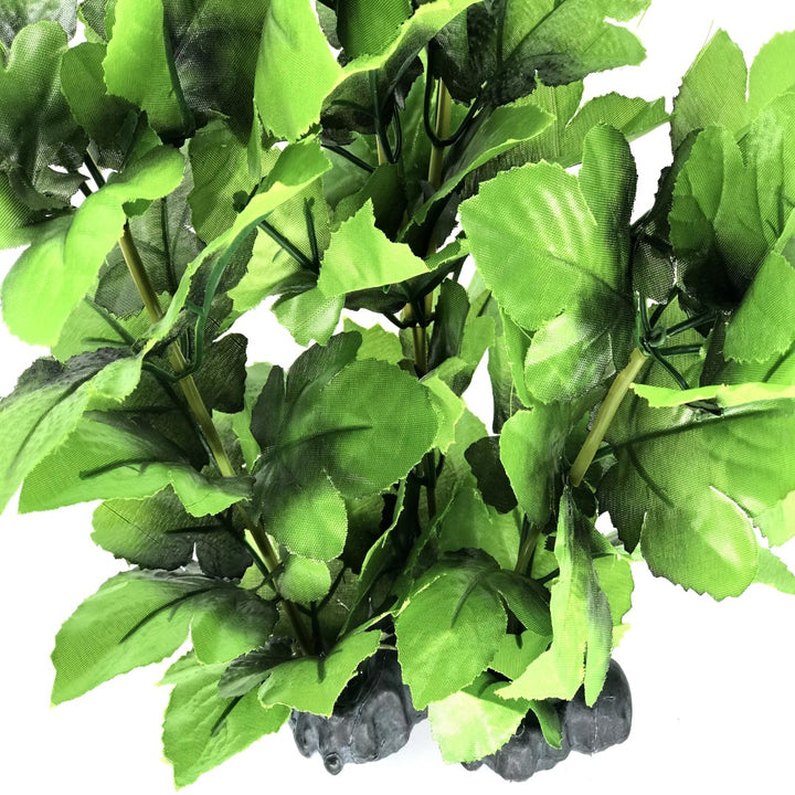 Most Realistic Artificial Aquarium Plants – Aquafaux